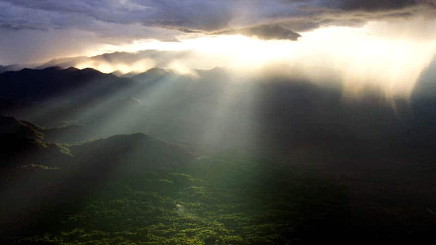 NASA: Earth ‘Greener’ Today than 20 Years Ago, Cites ‘Ambitious ...
