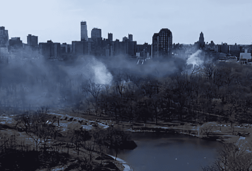 JUST IN: Multiple Fires Break Out in Central Park in Apparent Act of Arson